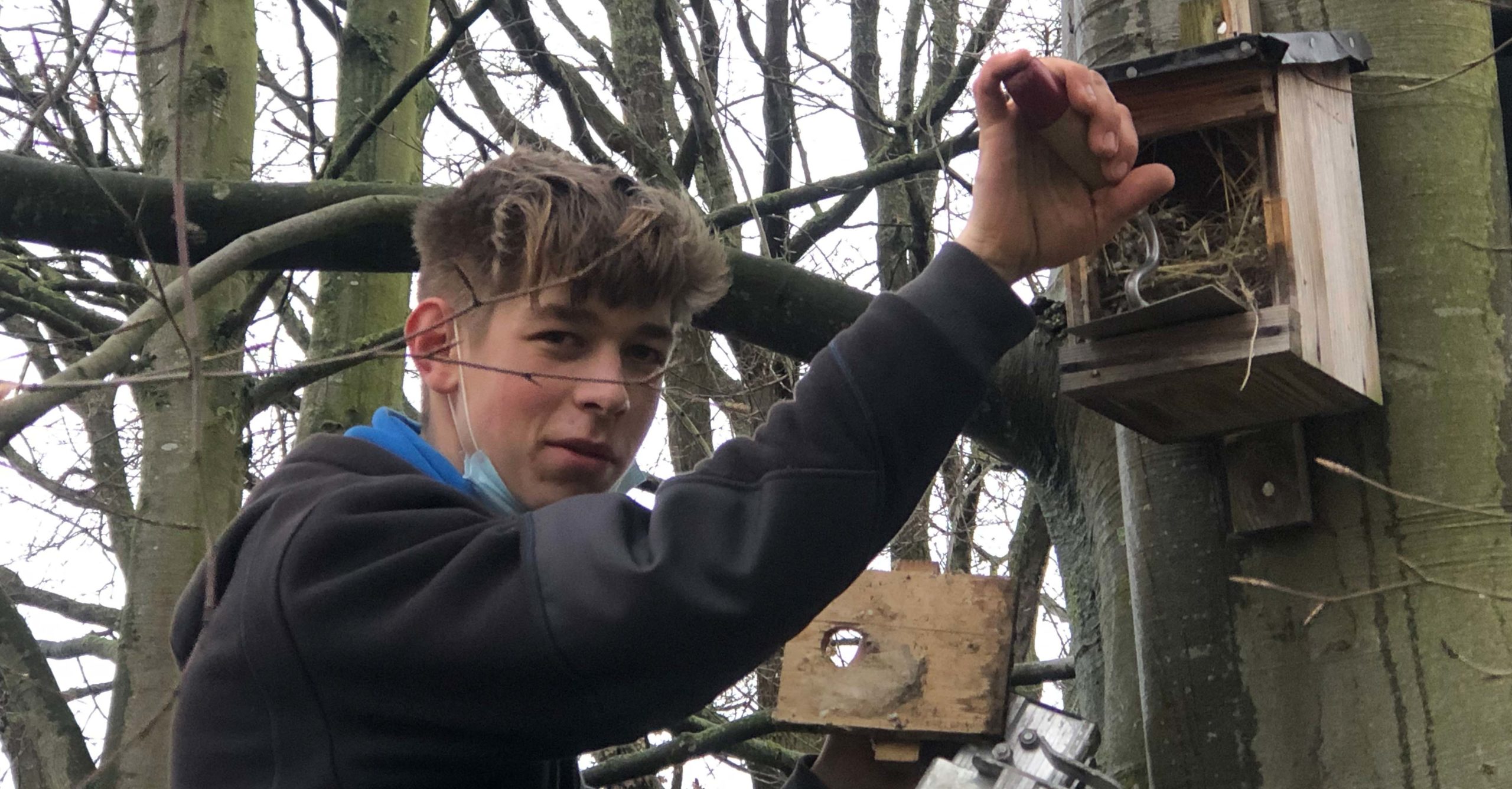 Der Frühling kann kommen – Maurice soll Pate werden – Sekundarschule ...